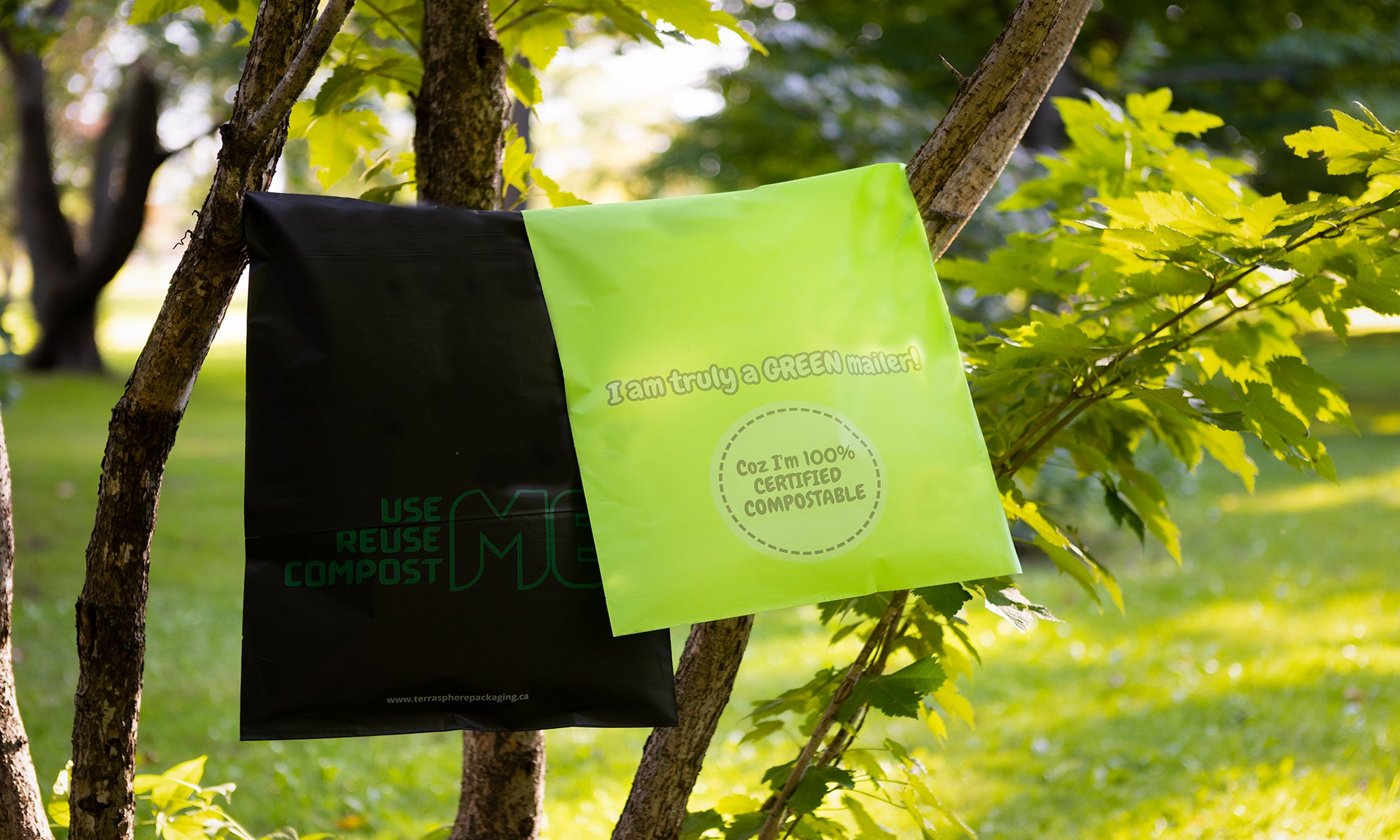 Terra Sphere Packaging